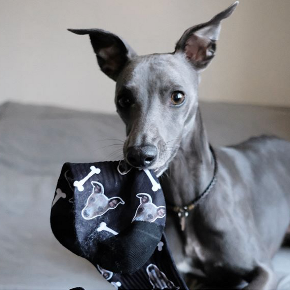 Socks for Pet Lovers | Personalised Socks For Pet Lovers